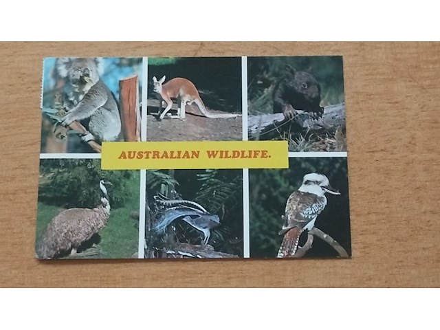 Australija - Životinje - Ptice - Koala - Papagaj -