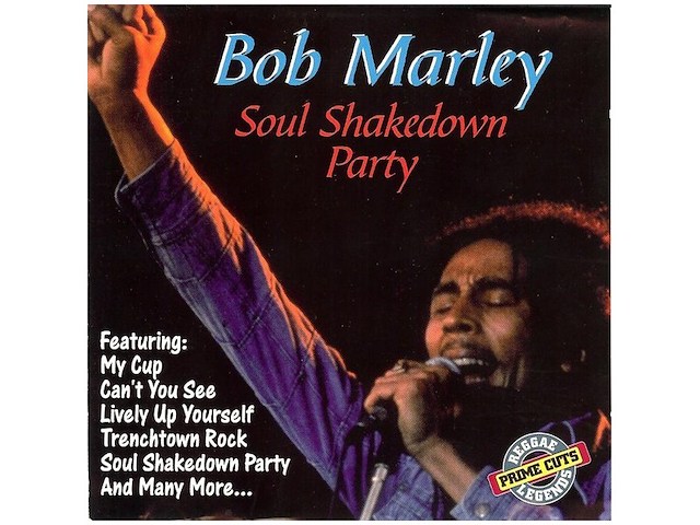 Bob Marley - Soul Shakedown Party
