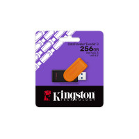 256 GB Kingston DTXS/256GB