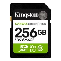 256 GB Kingston SDS3/256GB