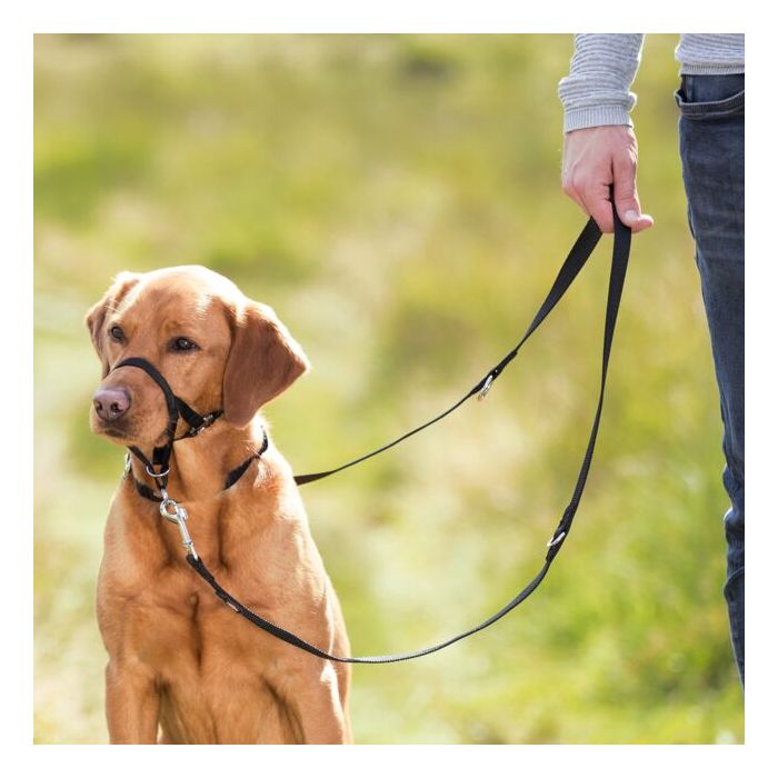 Trixie: Korpa za trening Control Training Harness