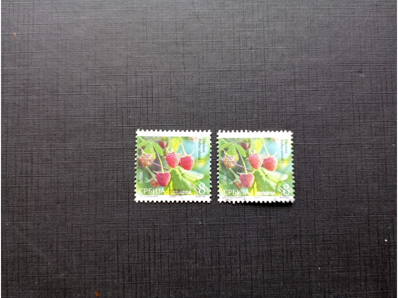 Srb. 144*