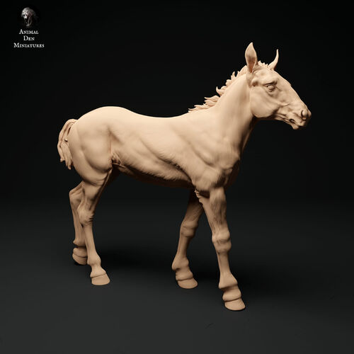 EMP3D 72130343 Suffolk Punch - źrebaki - zestaw 1