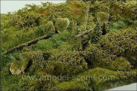 Model scene F801 Forest spring area