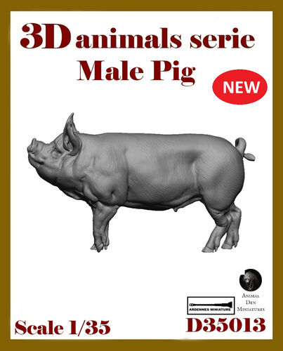 NEW! Ardennes Miniature D35013 Male Pig - 3D Animal Series (1 Figure)