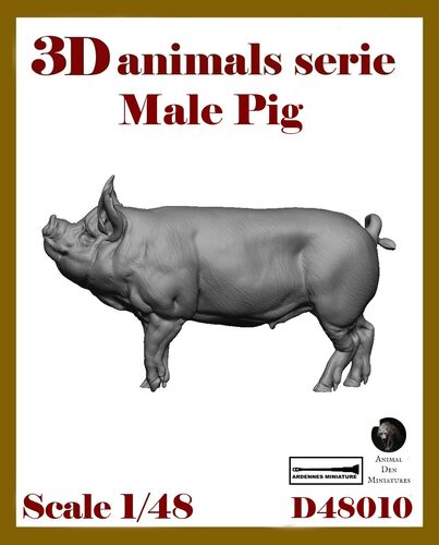 NEW! Ardennes Miniature D48010 Male Pig - 3D Animal Serie
