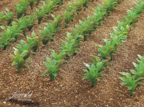Juweela 23388 Field Earth - Arable Land (100 g)