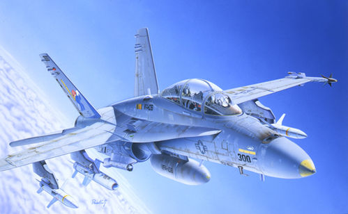 Italeri 0016 F/A-18 C/D Wild Weasel