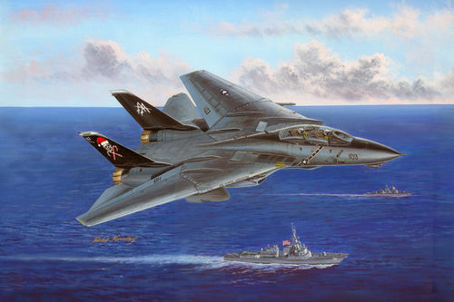 Hobby Boss 80367 Grumman F-14B Tomcat