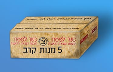 Plus Model 167 Combat Rations Boxes, Israel