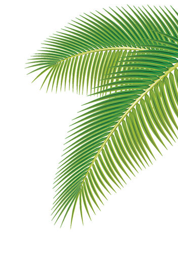 Model scene VG7-034 Palm Leaves - Type I