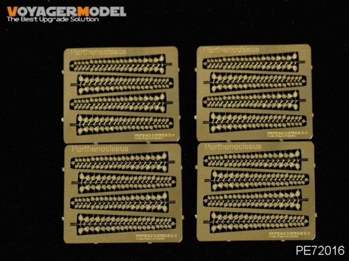 VoyagerModel.Co.Ltd PE72016 Parthenocissus