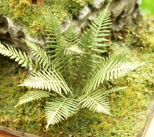 Model scene VG3-001 Fern