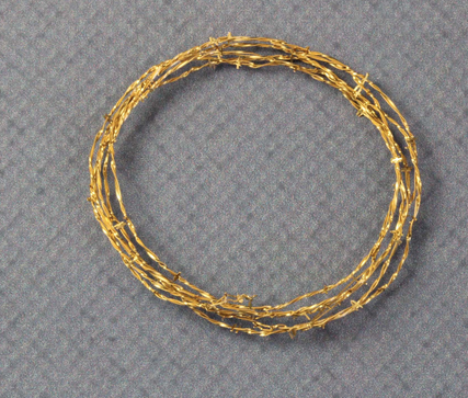 Artwox AW60028 Barbed wire long PE