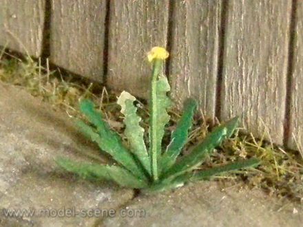 Model scene VG3-005 Dandelion