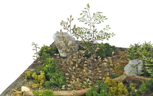 Matho Models 35037 Plants & Weeds C