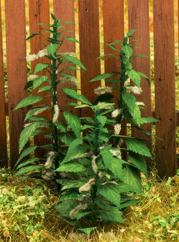 Model scene VG3-019 Nettle