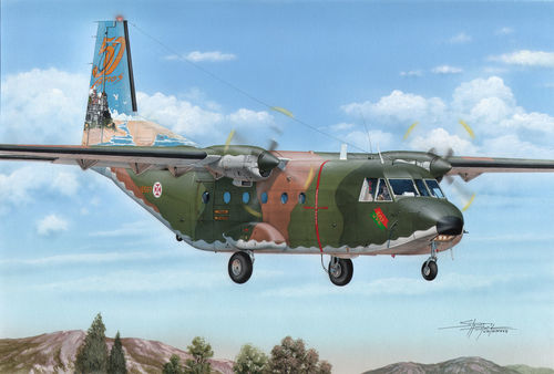Special Hobby 72376 CASA C.212-100 "Tail Art"