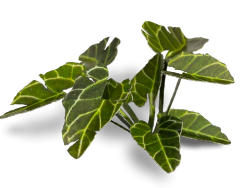 GamersGrass GGLP-EE Laser Plants - Elephant Ear