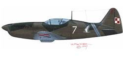 Choroszy Modelbud A55 PZL - 62