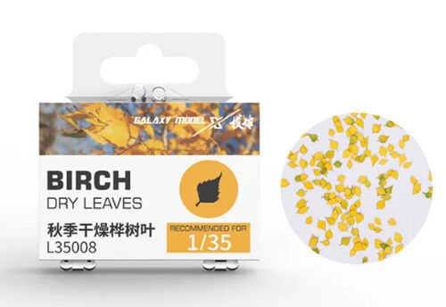 Galaxy-Model L35008 Birch dry leaves