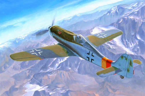 Hobby Boss 81716 Focke Wulf Fw 190D-9