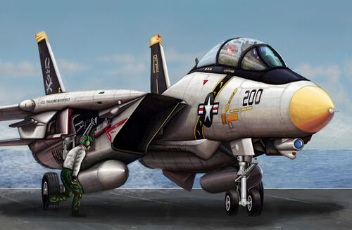 Trumpeter 03910 F-14A Tomcat