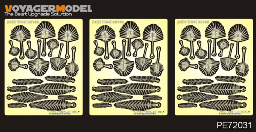 VoyagerModel.Co.Ltd PE72031 Palm Leaves Pattern 1
