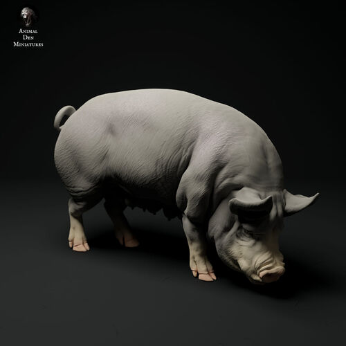 EMP3D 35130313 Świnie / berkszyry - locha pasąca się (2 sztuki)