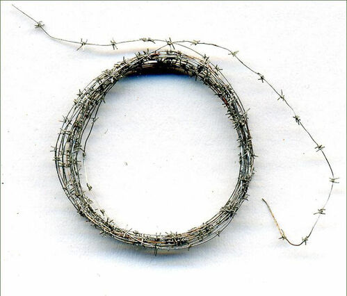 Zebrano ZA35101 Barbed Wire 1000 mm (Metall)