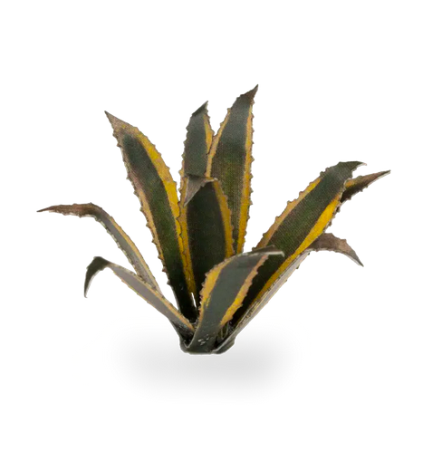 GamersGrass GGLP-AG Laser Plants - Agave