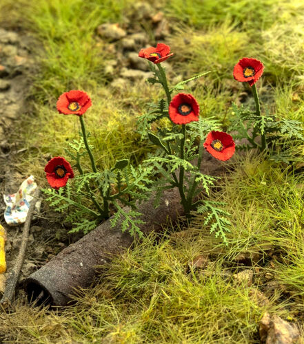 Model scene VG3-045 Poppies