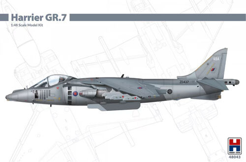Hobby 2000 48043 Harrier GR.7