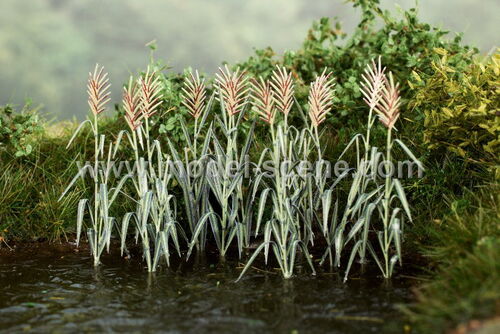 Model scene VG7-225 Reeds