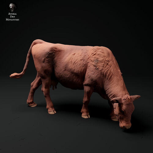 EMP3D 72130341 Bydło Red Devon - krowa pasąca się (1 sztuka)