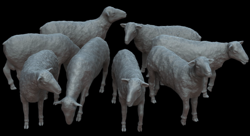 White Stork Miniatures F72061 Sheep