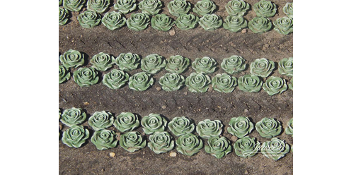 Juweela 23442 Lettuce (98 pcs)