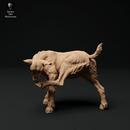EMP3D 35130323 Kozy alpejskie - koźlęta - zestaw 1