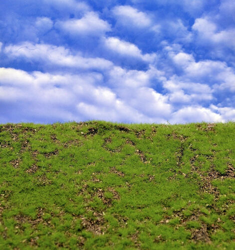 Reality in Scale MAT20 Wild Grass Type 1 XXL - Greyish Brown Earth, Irregular Surface (30 x 40 cm)