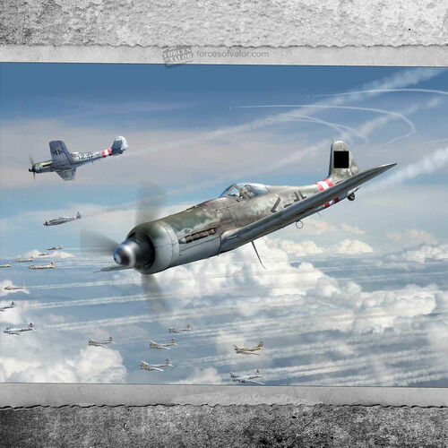 Forces of Valor 873012A German FW 190 D-9