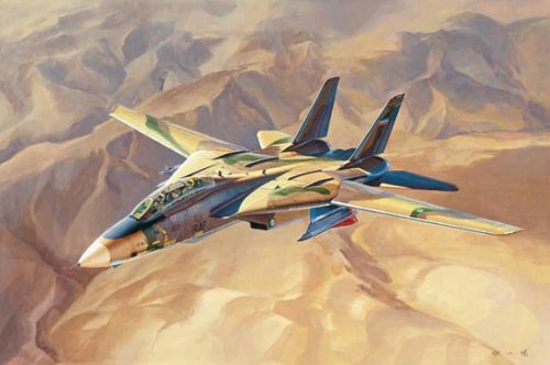 Hobby Boss 81771 IRIAF Persian Cat F-14A Tomcat
