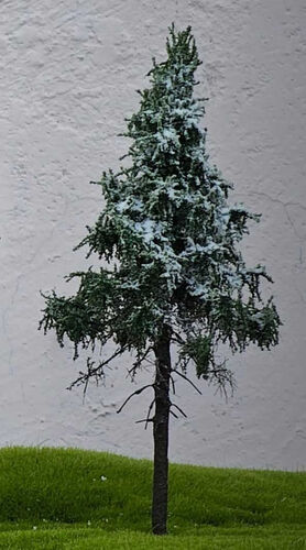 FREON SWPZ1 Winter High-Trunk Spruce 18/20cm