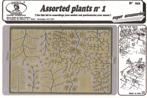 Royal Model di R. Reale 041 Assorted plants n.1
