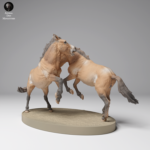 EMP3D 35130710 Koń Przewalskiego - samce walczące - 1 zestaw