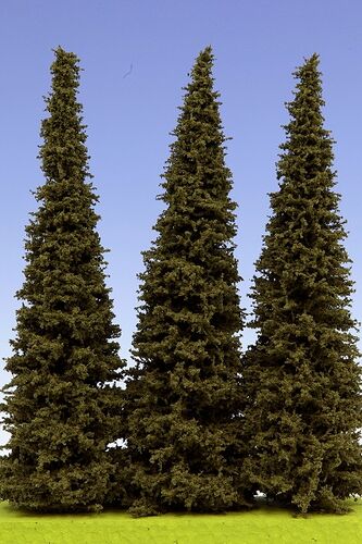 Model scene SM200 Spruce 180 mm - 220 mm