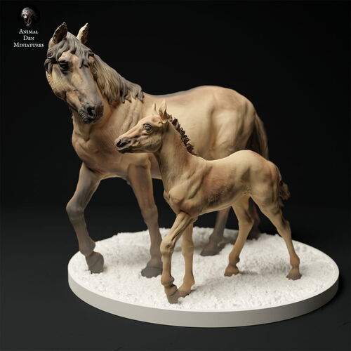 EMP3D 25130424 Konik polski - klacz ze źrebakiem - zestaw