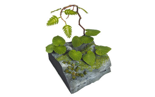 Matho Models 35079 Jungle Plants C