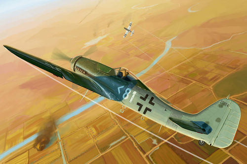 Hobby Boss 81718 Focke Wulf FW 190 D-11