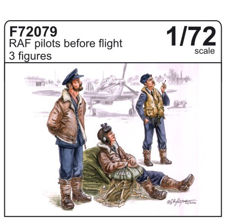 CMK F72079 RAF pilots before flight