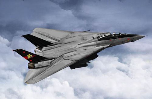 Trumpeter 03918 F-14B Tomcat